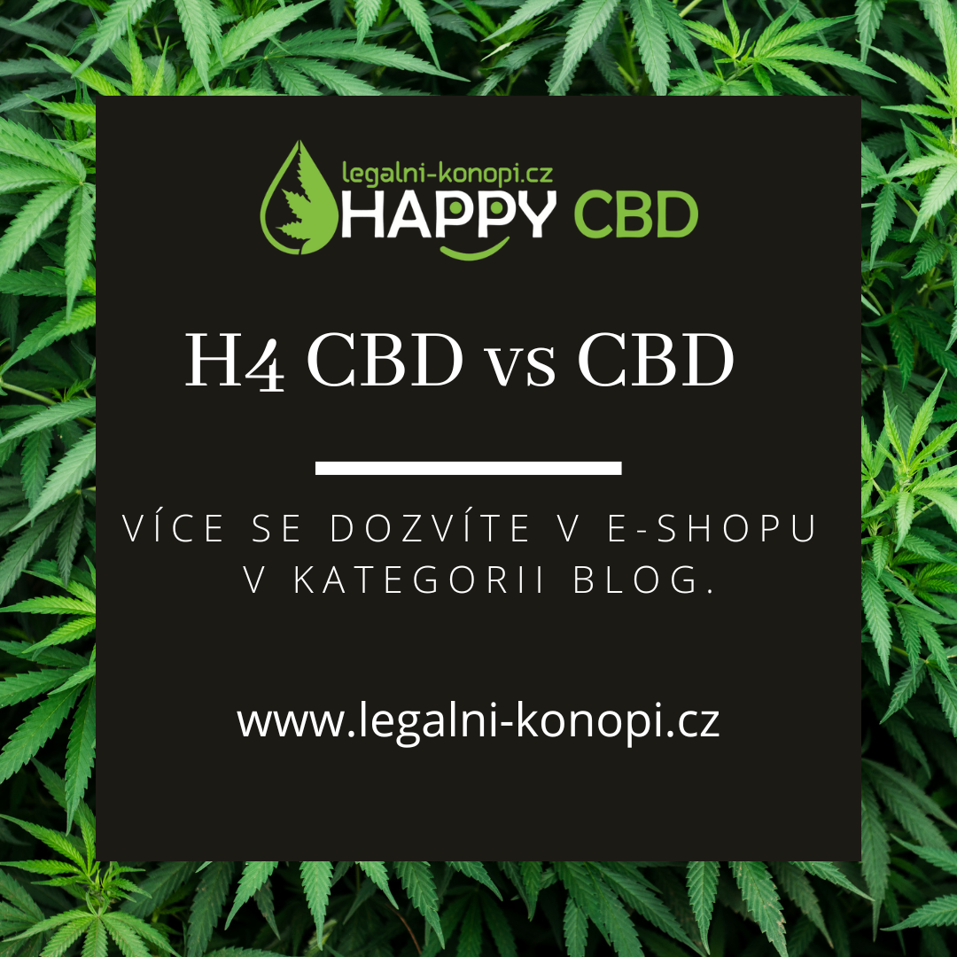 H4 CBD vs CBD | Legalni-konopi.cz 🍀 Výrobce kvalitních CBD produktů.