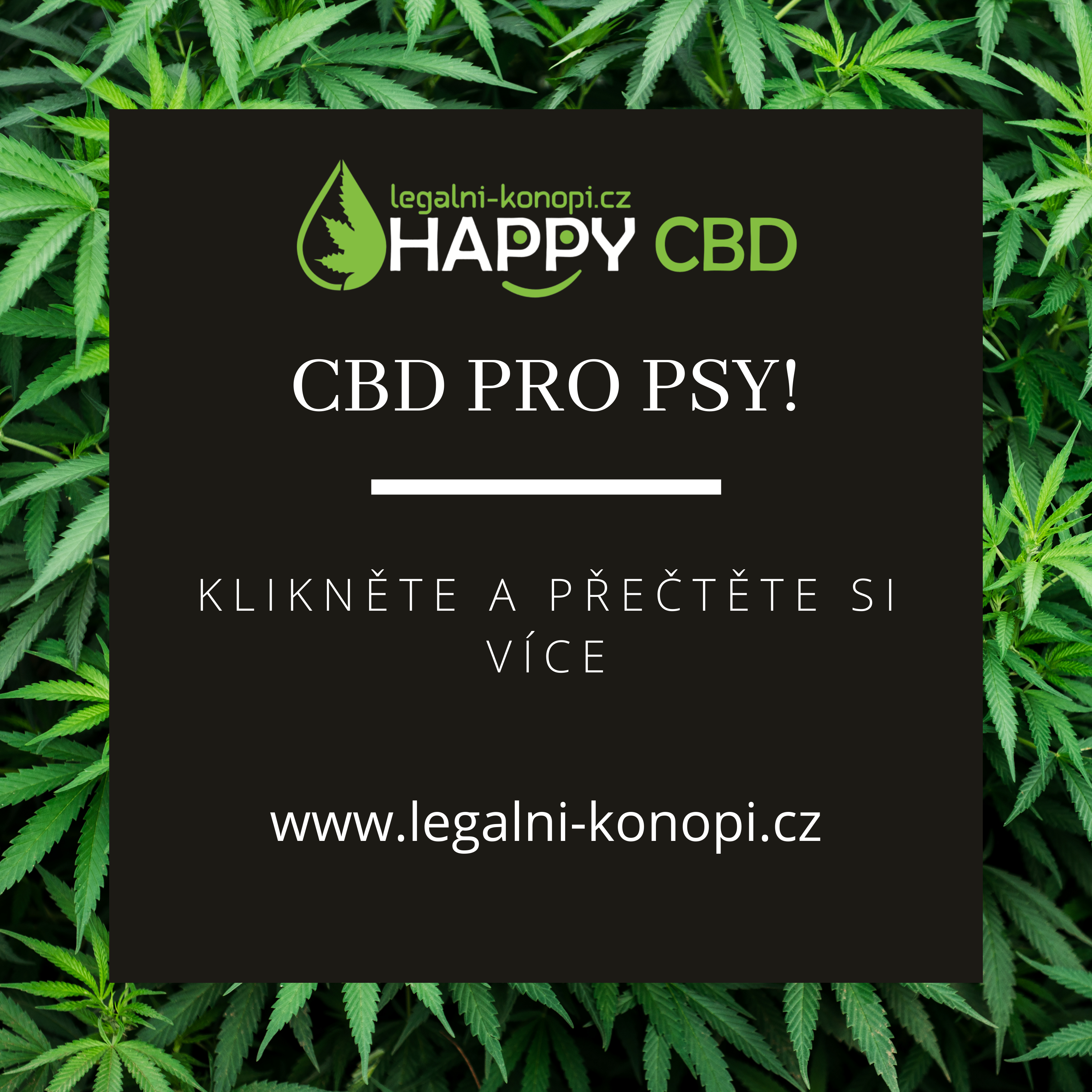 CBD pro psy | Legalni-konopi.cz 🍀 Výrobce kvalitních CBD produktů.