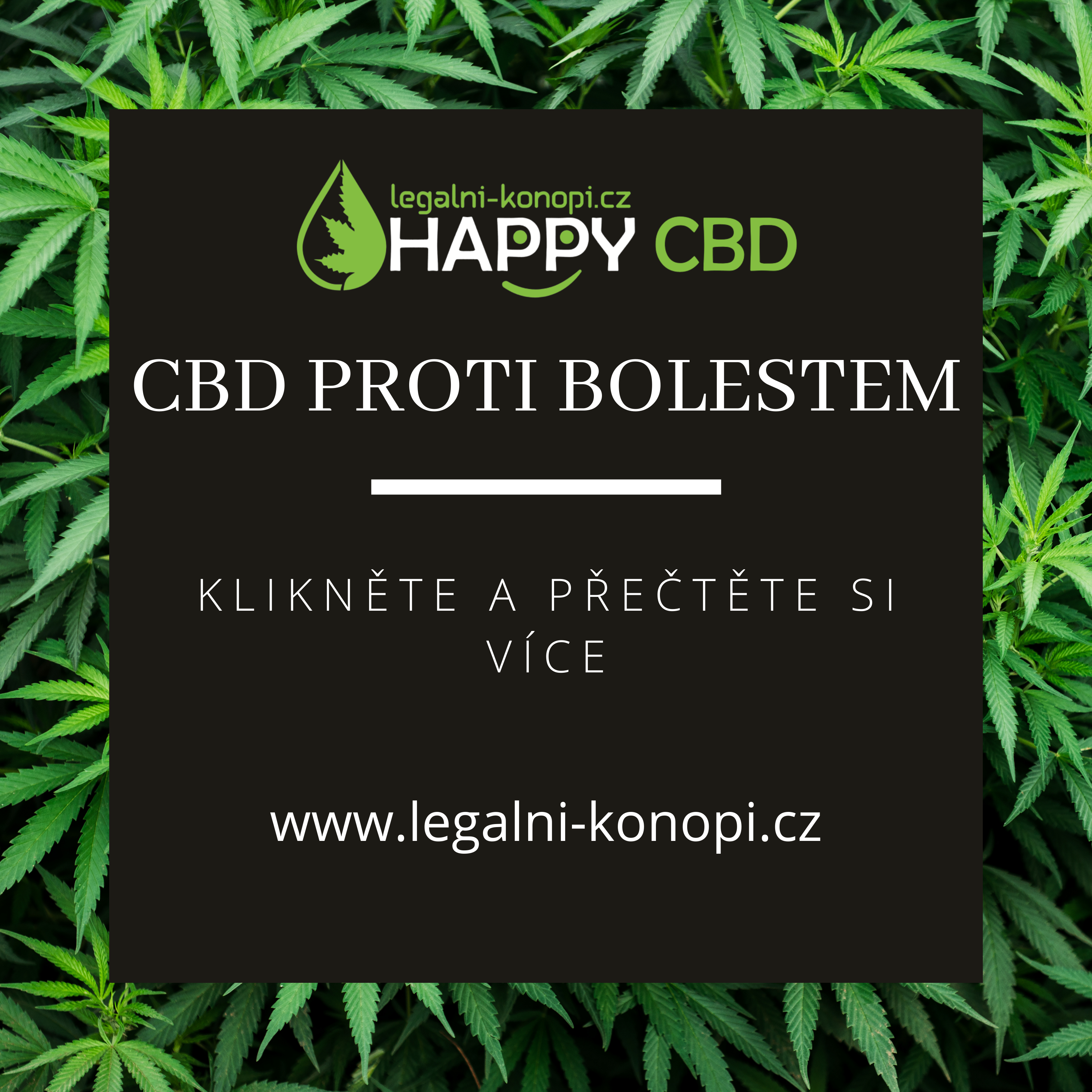 CBD proti bolestem | Legalni-konopi.cz 🍀 Výrobce kvalitních CBD produktů.