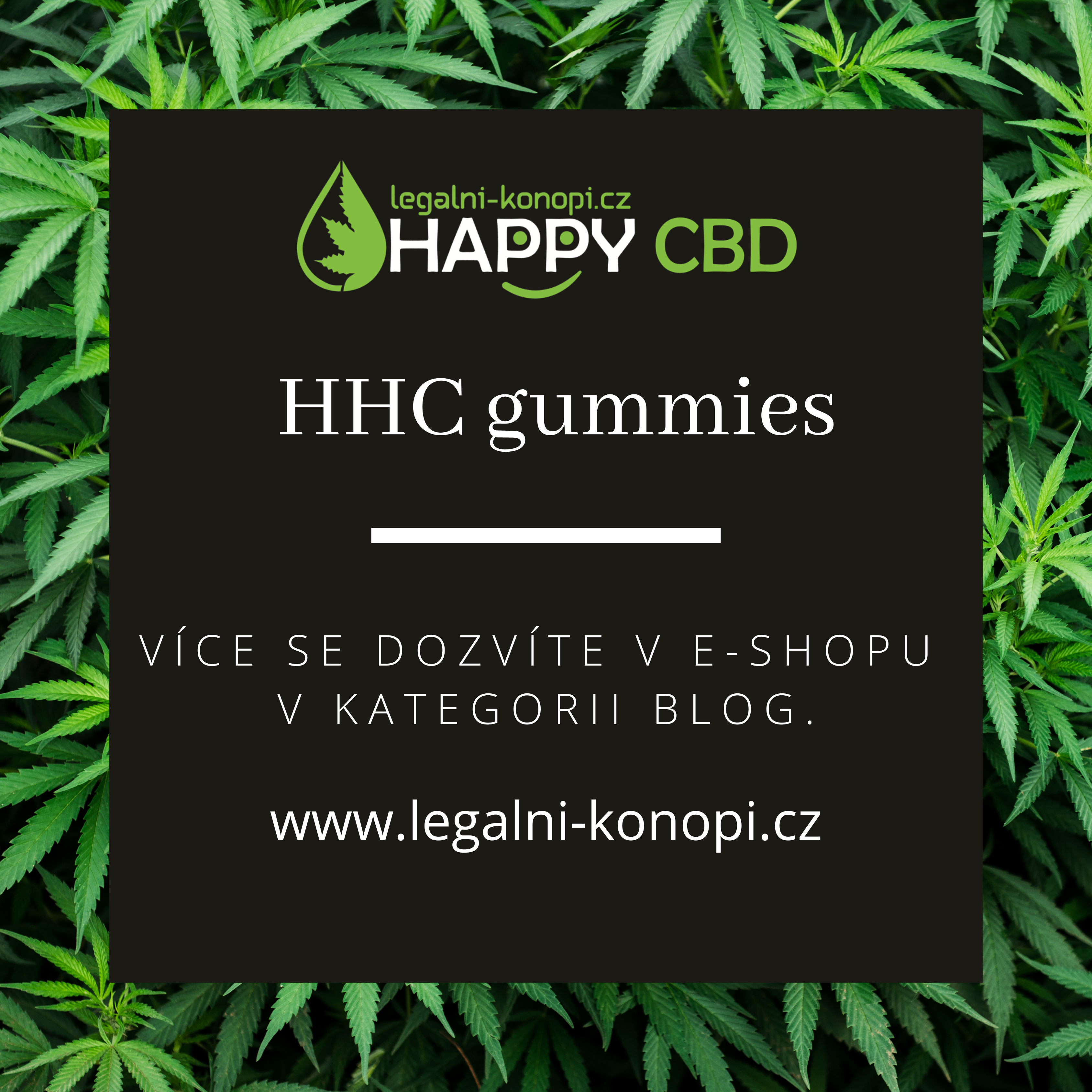 HHC Gummies | Legalni-konopi.cz 🍀 Výrobce kvalitních CBD produktů.